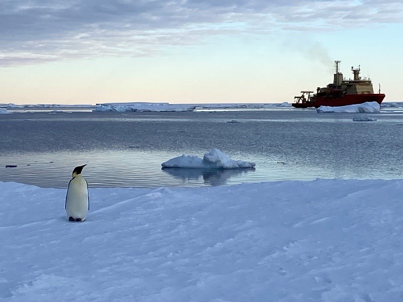 Moss Landing Marine Lab Researchers head to Antarctica to study the ... Moss Landing Marine Lab Researchers head to Antarctica to study the ...
