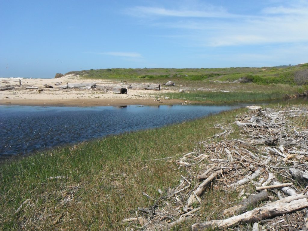 Wetland Research and Assessments – Central Coast Wetlands Group