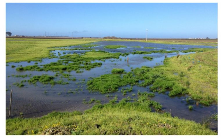 Climate Change – Central Coast Wetlands Group
