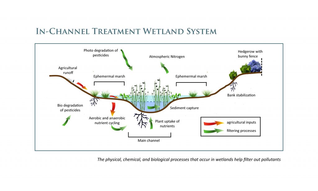 Treatment Wetlands – Central Coast Wetlands Group