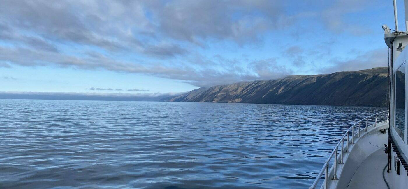 Fisheries and Conservation Biology Lab – Fishing for conservation solutions