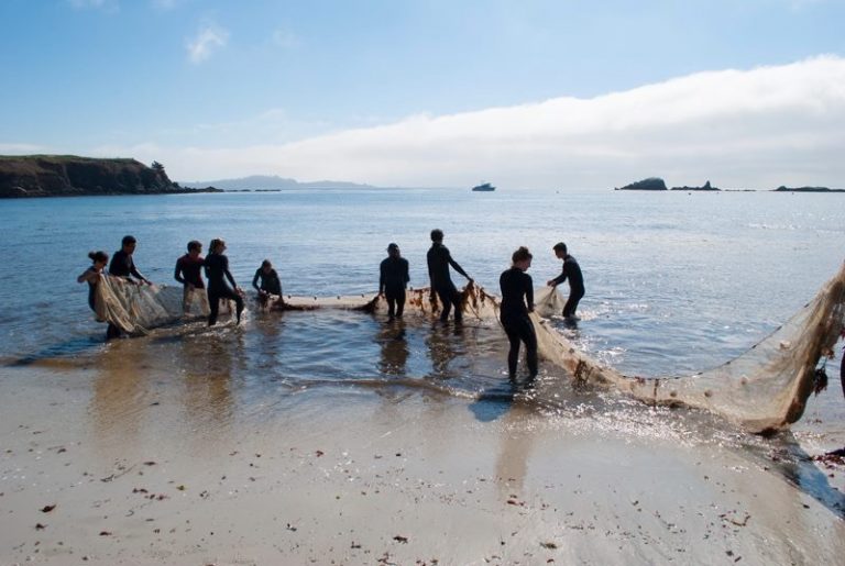 Taking a Class at MLML – MLML Master's Program