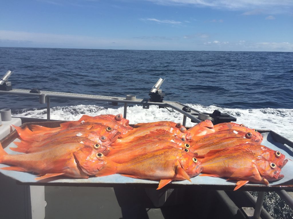 Ichthyology – From Greek: ikthus, "fish" and logos, "knowledge"