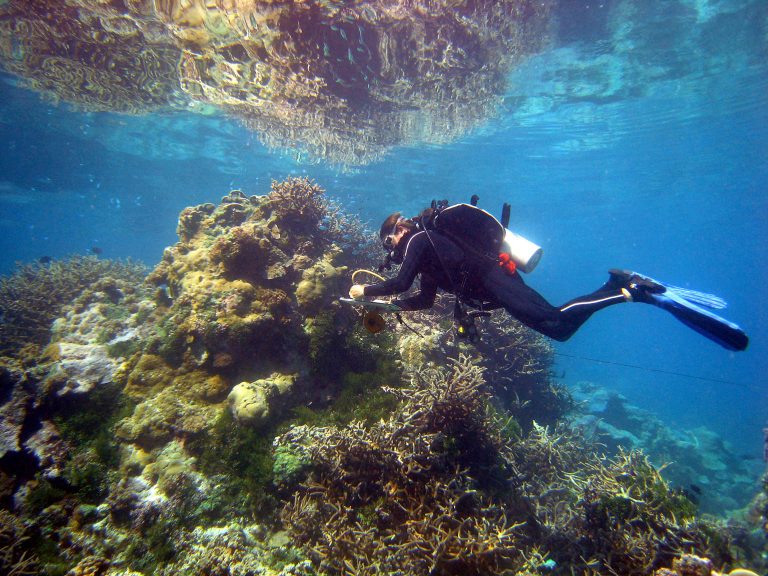 Ichthyology – From Greek: ikthus, "fish" and logos, "knowledge"