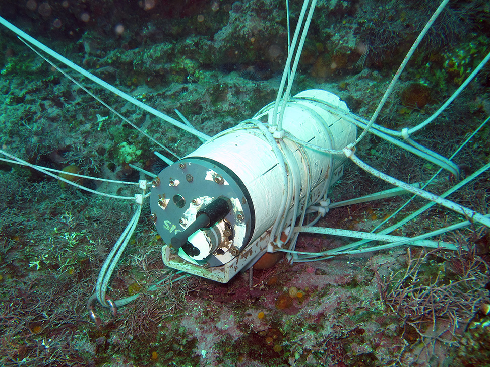 Climate Change Research – Ichthyology