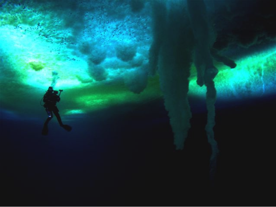 The Benthic Lab in Antarctica – Moss Landing Marine Laboratories