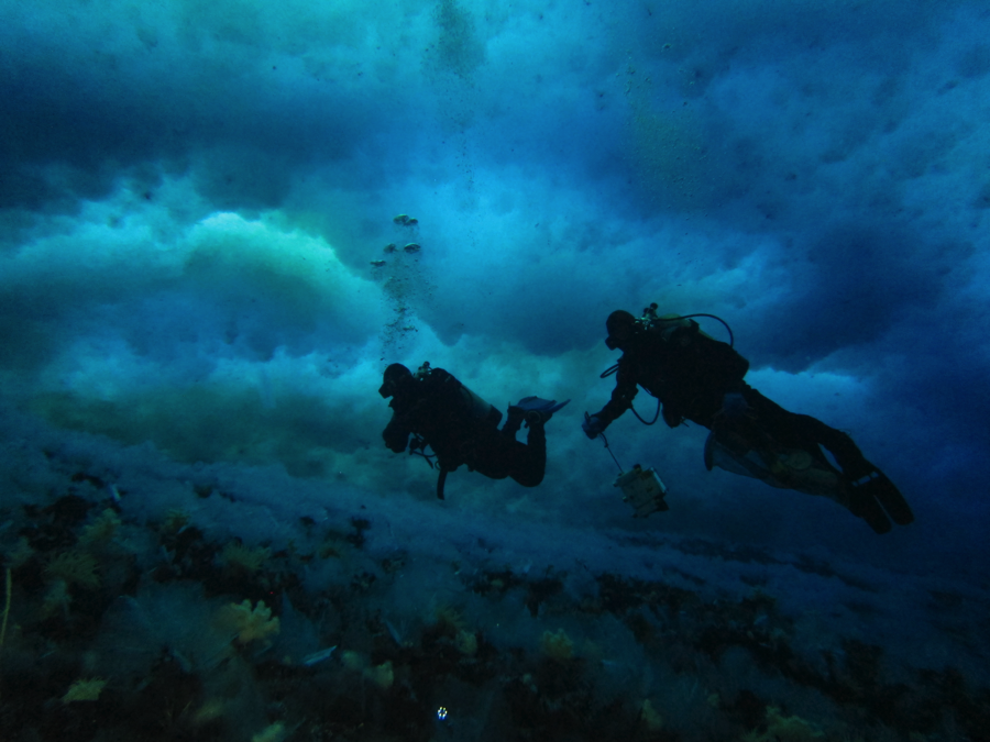 The Benthic Lab in Antarctica – Moss Landing Marine Laboratories