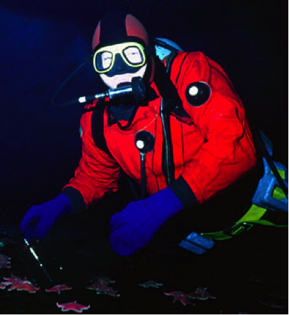 The Benthic Lab in Antarctica – Moss Landing Marine Laboratories