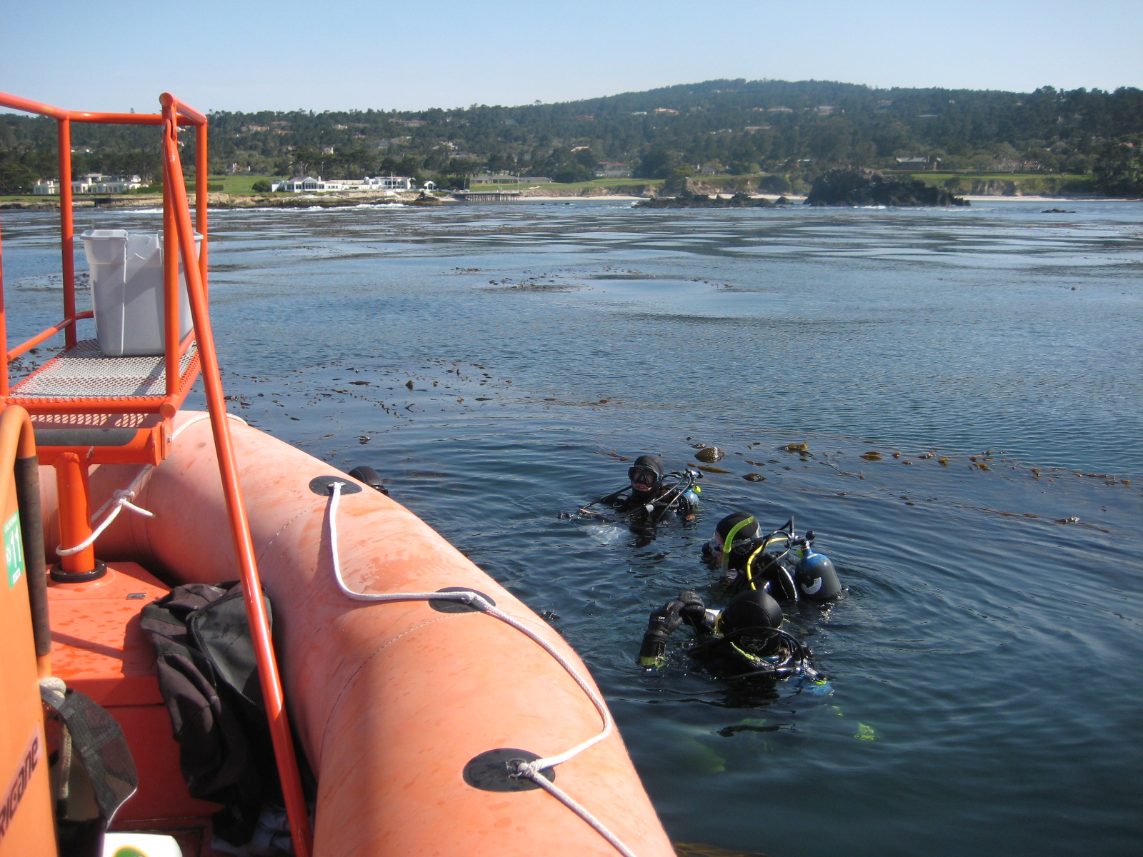 Stillwater Cove: A Magical Diving and Research Spot – Moss Landing ...