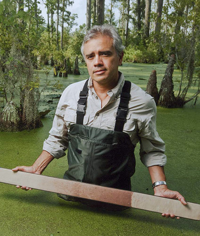 Carbon Fluxes and Ocean Acidification During the Paleocene-Eocene ...