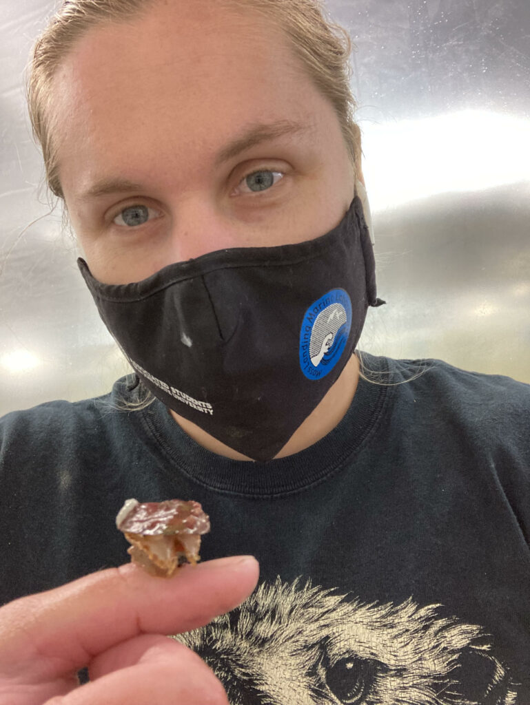 Thesis Defense by Kayla Roy – July 17 – Moss Landing Marine Laboratories